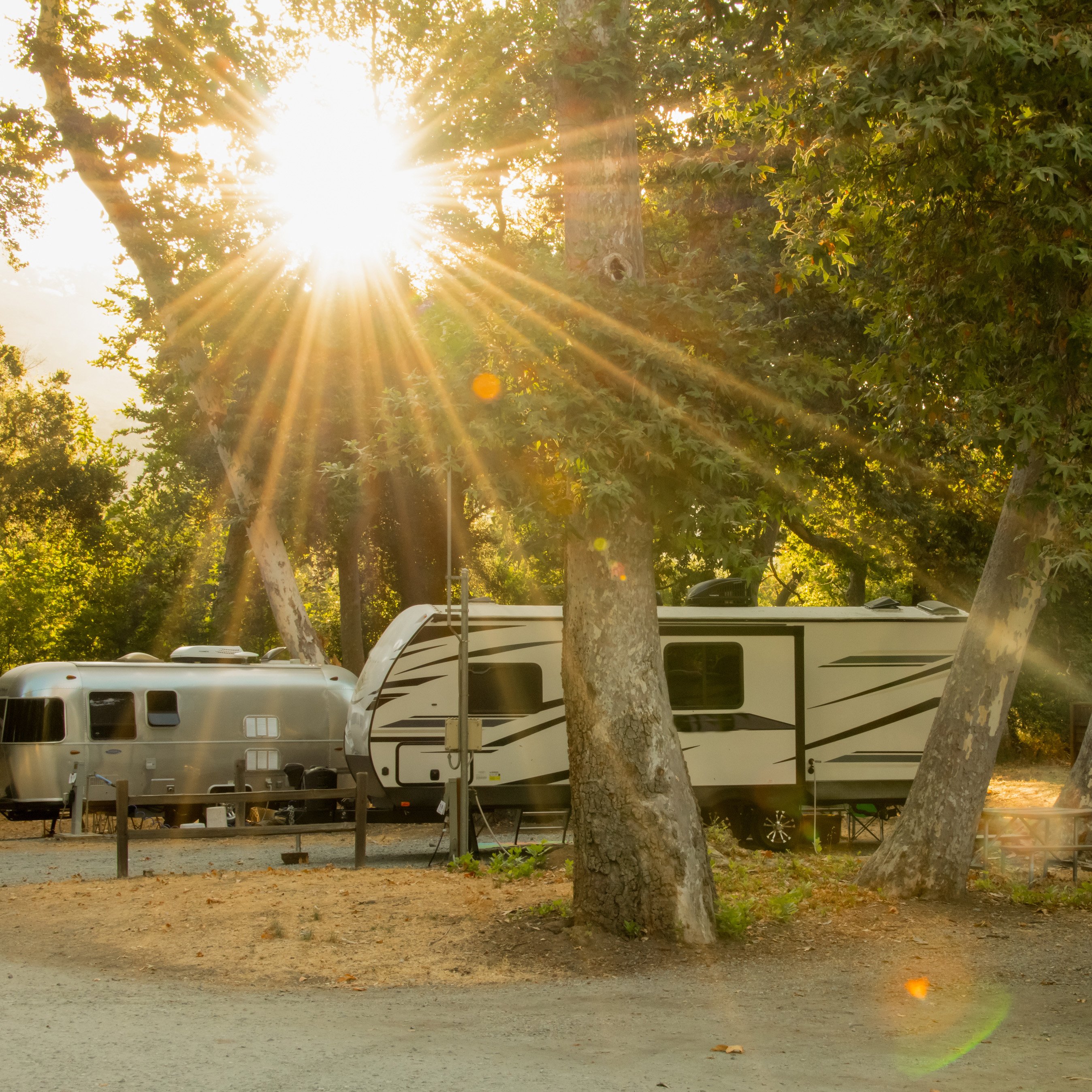 About Us: Why Firefly